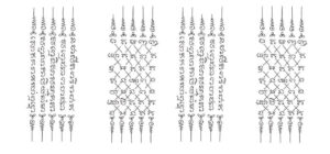 Hah Taew (The Five-Row Yantra) - Sak Yant Tattoo